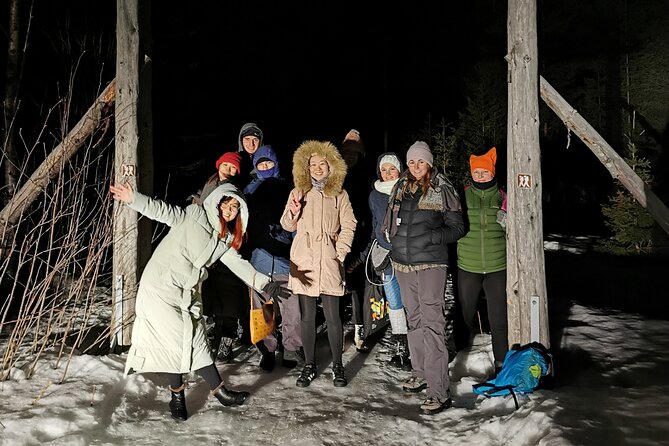 Northern Lights Aurora From Kemi With Pickup - Navigating Refunds and Issues