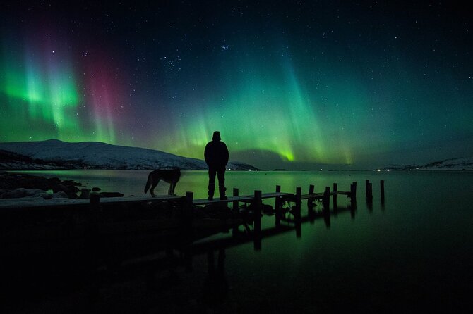 Northern Lights Big Bus Chase With Free Photos - Northern Lights Viewing Conditions