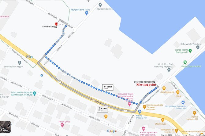 Northern Lights Boat Cruise From Reykjavik - Accessibility and Capacity