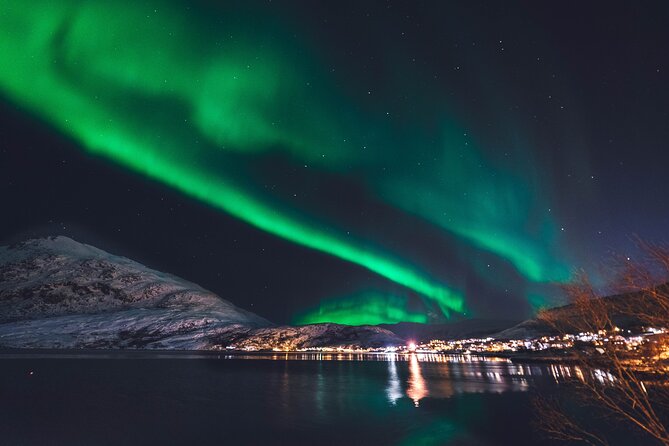 Northern Lights Boat Cruise From Reykjavik - Customer Feedback and Experiences