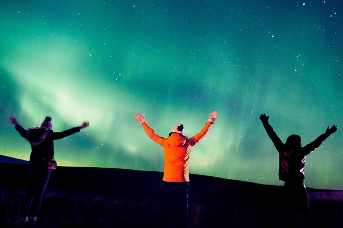 Northern Lights Bus Tour From Reykjavik - Requirements and Logistics