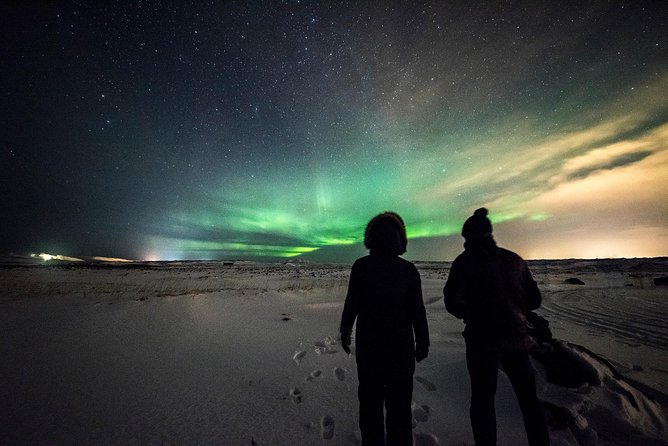 Northern Lights Bus Tour From Reykjavik - What to Expect on the Northern Lights Bus Tour