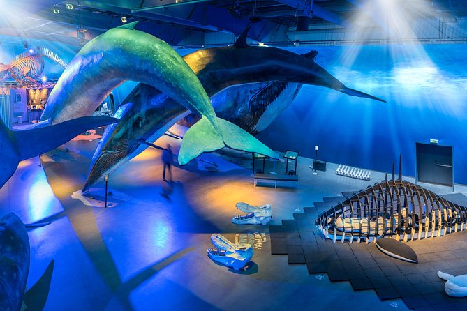 Northern Lights by Boat With a Backup Plan From Reykjavik - Whats Included in the Tour