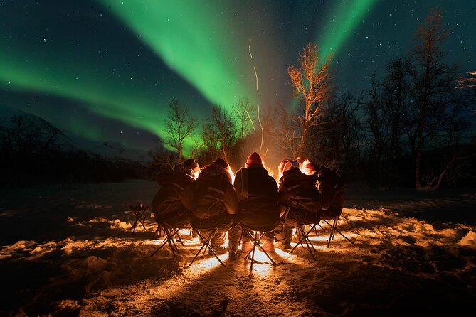 Northern Lights by Minibus. Photos Under the Lights Included. Tromso - What to Expect During the Journey