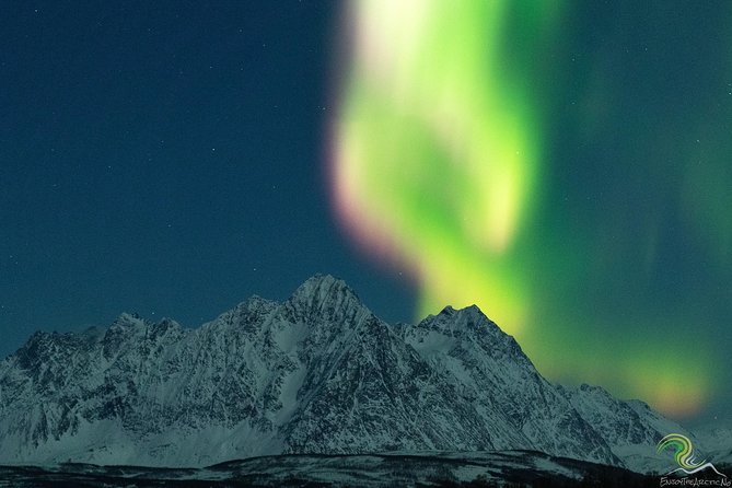 Northern Lights by Minibus. Photos Under the Lights Included. Tromso - Tour Inclusions and Amenities