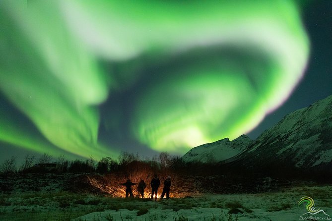 Northern Lights by Minibus. Photos Under the Lights Included. Tromso - Challenges and Recommendations