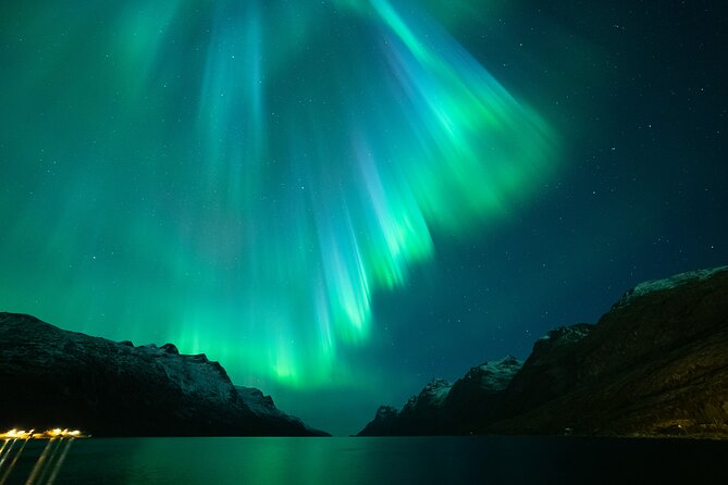 Northern Lights Chase by Bus in Tromso - Whats Included in the Tour