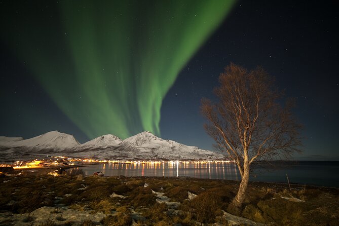 Northern Lights Chase by Bus in Tromso - Meeting Point and Start Time