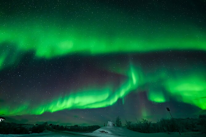 Northern Lights Chase Minibus, Portraits, Toilet, Meal, Guarantee - Photography Opportunities