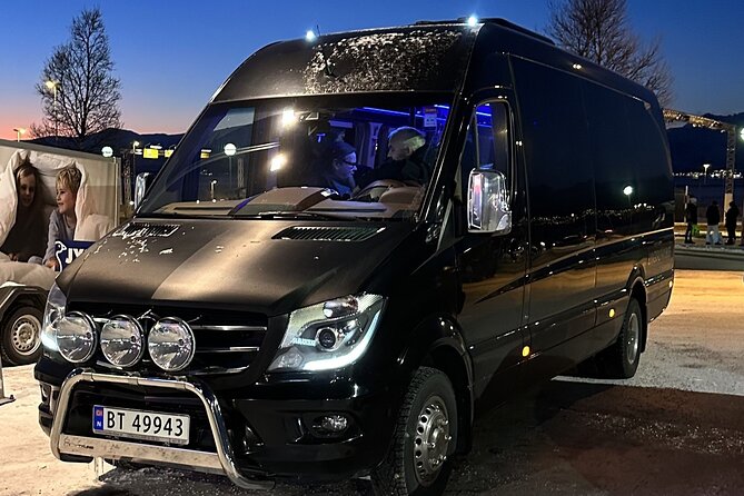 Northern Lights Chase Minibus, Portraits, Toilet, Meal, Guarantee - Guide Expertise