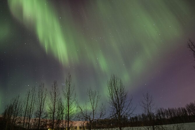 Northern Lights Classic Tour From Akureyri - Photography Tips for Capturing the Aurora Borealis