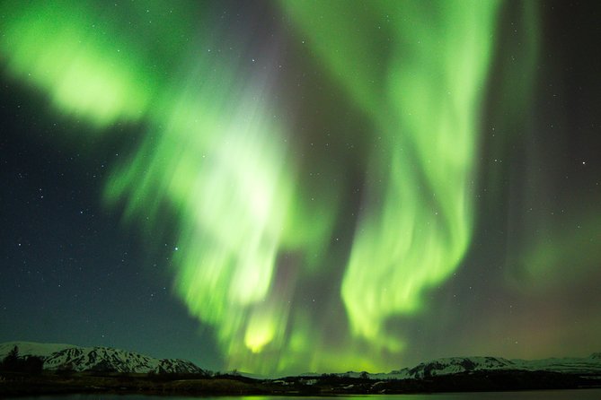 Northern Lights Cruise From Reykjavik - Tour Inclusions and Amenities