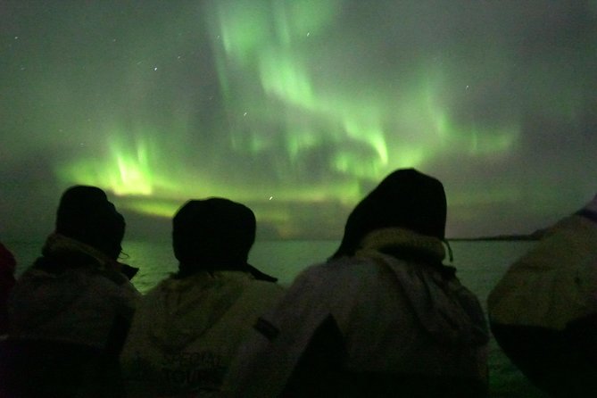 Northern Lights Cruise From Reykjavik Including Photos - Traveler Experiences and Reviews