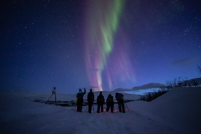 Northern Lights Expedition With Arctic Photo Guide Max 6 Guests - Explore the Arctic Wilderness