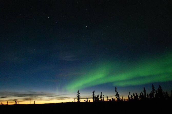 Northern Lights Experience and Cabin Dinner - Exploring the Northern Lights Experience and Cabin Dinner