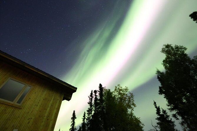 Northern Lights Experience and Cabin Dinner - Who Will Enjoy This Tour?