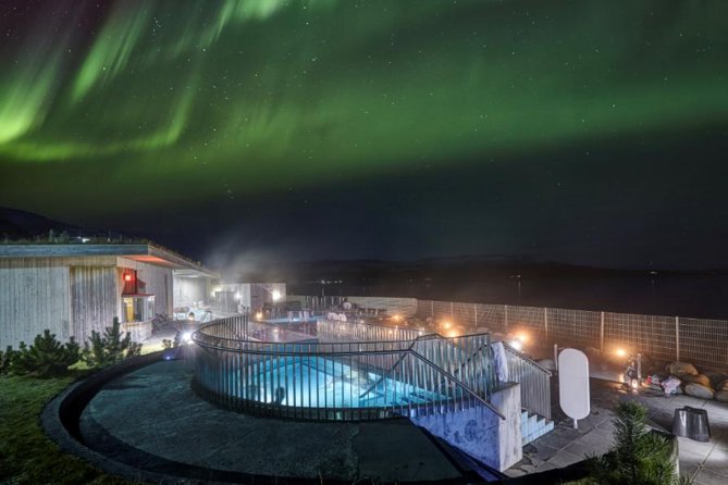 Northern Lights & Geothermal Baths Adventure - Guest Reviews and Feedback