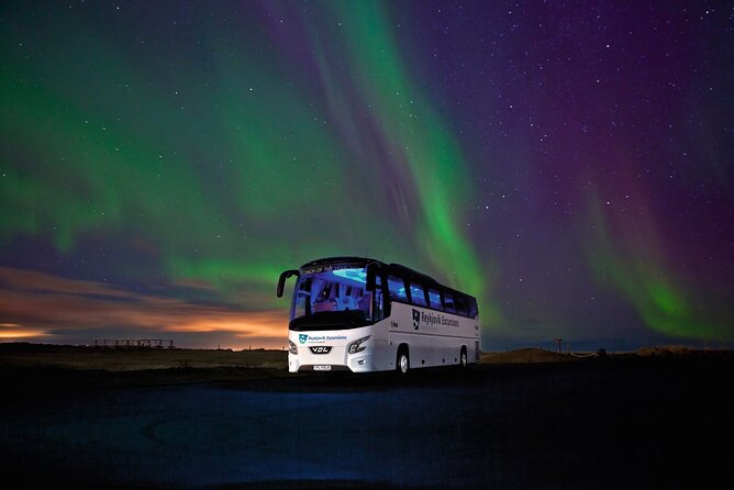 Northern Lights Guided Bus Tour From Reykjavik - Tips for Maximizing Your Tour Experience