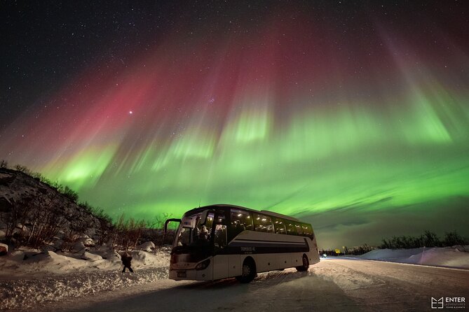 Northern Lights Guided Bus Tour with Snacks Hot drinks - The Value of This Tour