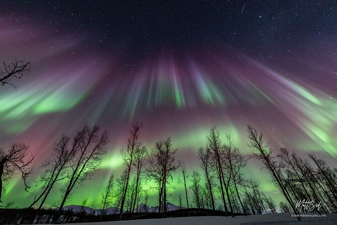 Northern Lights Guided Bus Tour with Snacks Hot drinks - The Itinerary in Detail