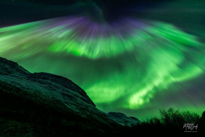 Northern Lights Guided Bus Tour with Snacks Hot drinks - Practical Details: Transportation, Timing, and Cost