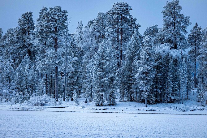 Northern Lights Holiday in Finland - Day 4: Snowy Wilderness Trekking
