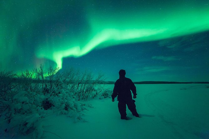 Northern Lights Hunt Including Snacks on Campfire from Rovaniemi - Final Thoughts: Who Will Love This Tour?