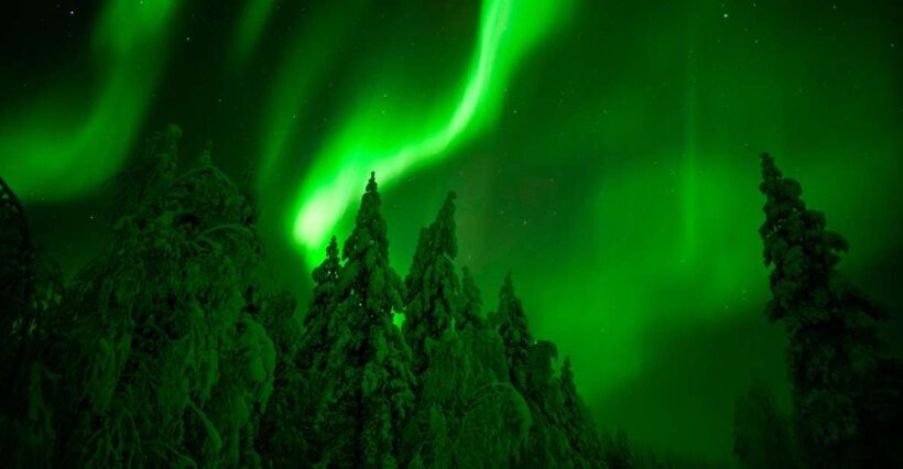 Northern Lights Hunting Adventure in Lapland - Authentic Arctic Scenery and Comfort