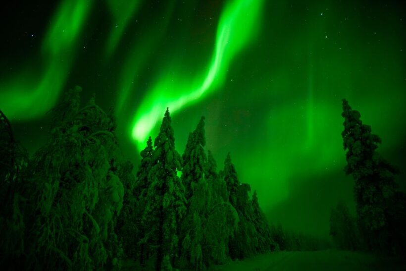 Northern Lights Hunting Adventure in Lapland - Pricing and Value