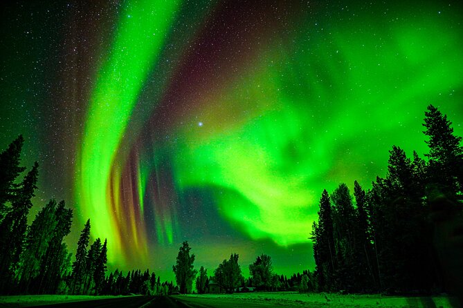 Northern Lights Hunting Adventure in Lapland - Tour Schedule and Availability