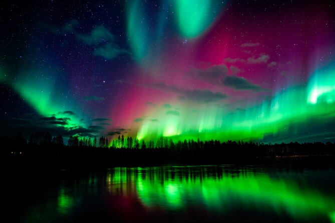 Northern Lights Hunting Adventure in Lapland - The Northern Lights Viewing Experience