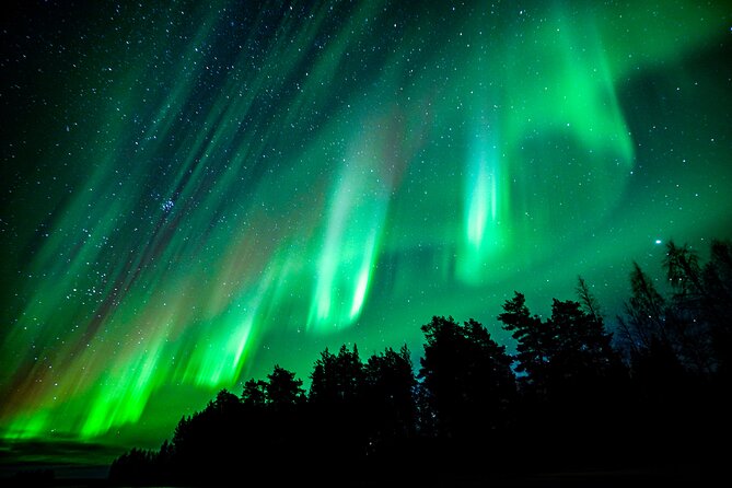 Northern Lights Hunting Adventure in Lapland - Customer Reviews and Testimonials