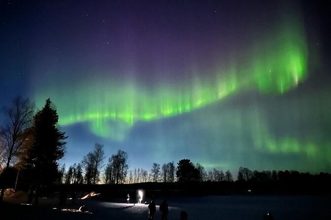 Northern Lights Hunting of Rovaniemi - Authentic Experiences and Travelers’ Insights