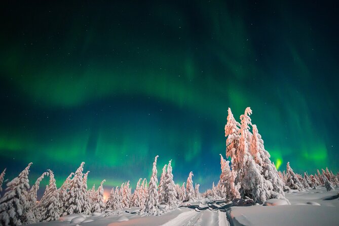 Northern Lights Hunting of Rovaniemi - Transportation and Group Dynamics