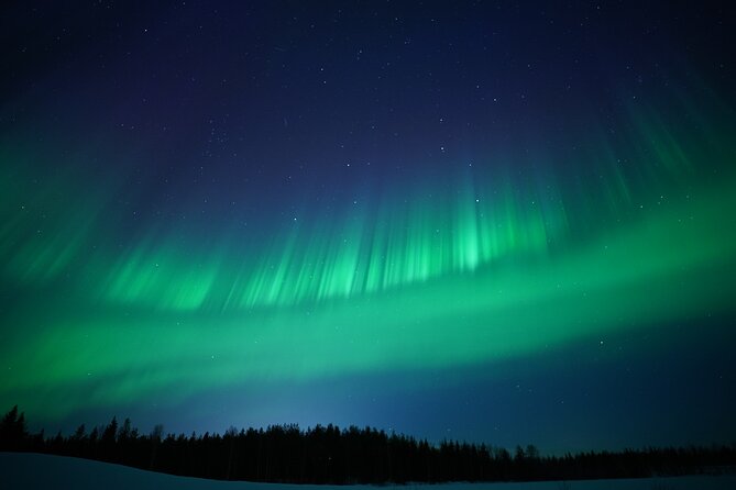 Northern Lights Hunting Photography in Rovaniemi Finland - Reviews and Testimonials