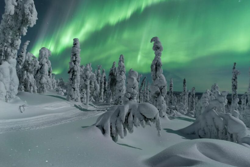 Northern Lights Hunting with Aurora Workshop - Who Should Consider This Tour?