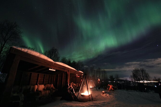 Northern Lights Husky Visit - Dinner Options and Inclusions