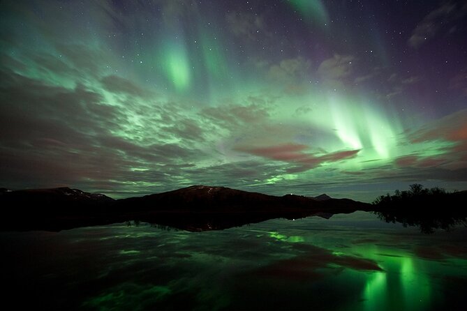 Northern Lights Husky Visit - Traveler Reviews and Feedback