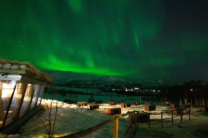 Northern Lights Husky Visit - Why This Tour Is Highly Recommended