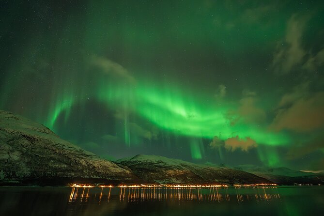 Northern Lights in Focus Tour by Minibus, German/ English, Meal - Pricing and Booking