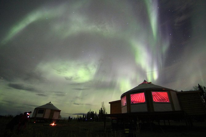 Northern Lights Lodge Viewing in Fairbanks - Guest Experiences and Highlights