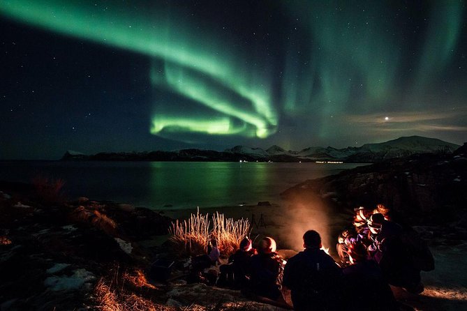 Northern Lights Minibus Chase - Who Should Book This Tour?