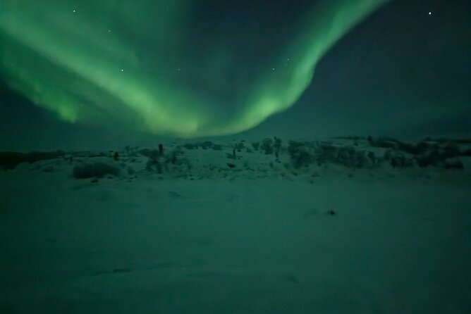 Northern Lights Minibus Chase Max 16 Person In Group - The Practical Details