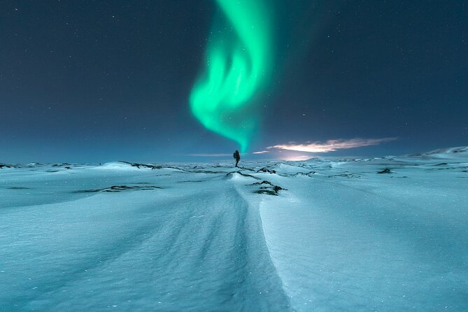 Northern Lights Minibus Tour With Free Photos & Hot Chocolate - Traveler Reviews and Feedback