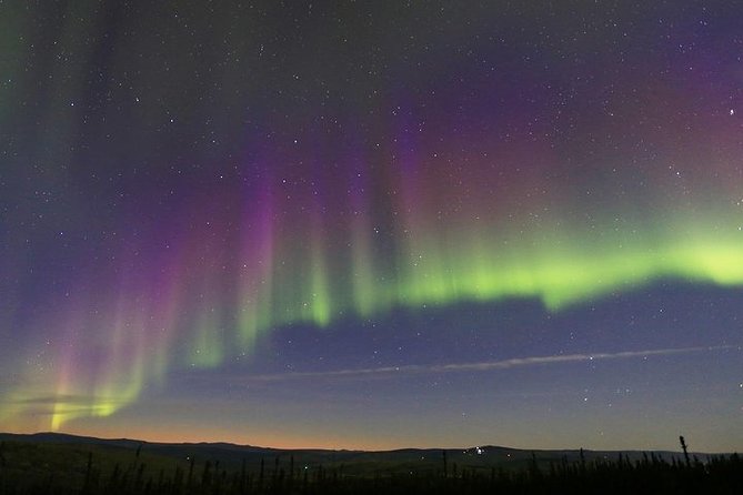 Northern Lights Murphy Dome Viewing in Fairbanks - What to Expect During the Viewing