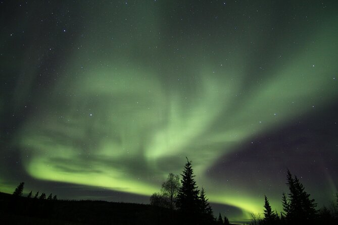 Northern Lights Murphy Dome Viewing in Fairbanks - Guest Feedback and Highlights
