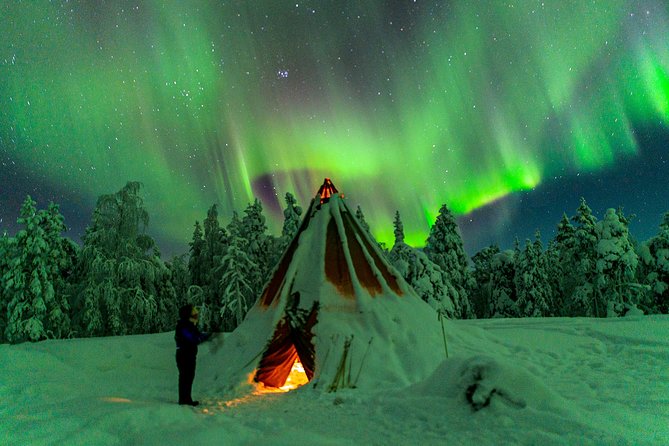 Northern Lights Photography Tour From Rovaniemi - Reviews and Traveler Feedback