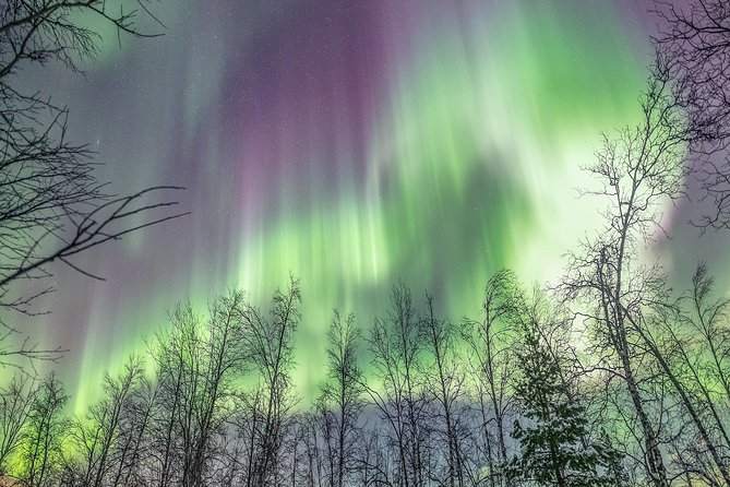 Northern Lights Private Tour With Your Special Ones - Greenlander - Northern Lights Viewing
