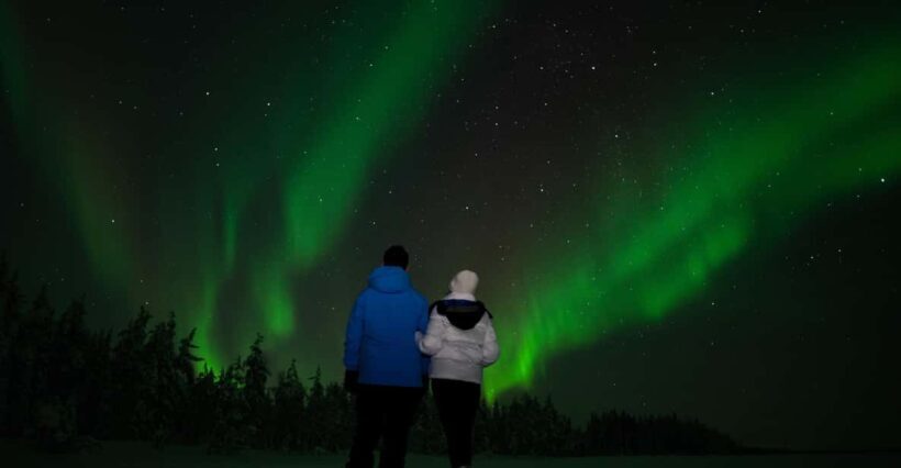 Northern Lights Reindeer Sledge Ride - What Makes This Tour Stand Out?