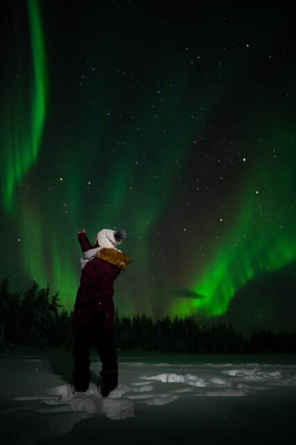Northern Lights Reindeer Sledge Ride - Is This Experience Right for You?